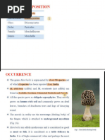 Unit - 10 - General Characters and Classification of Fungi by Dr ...