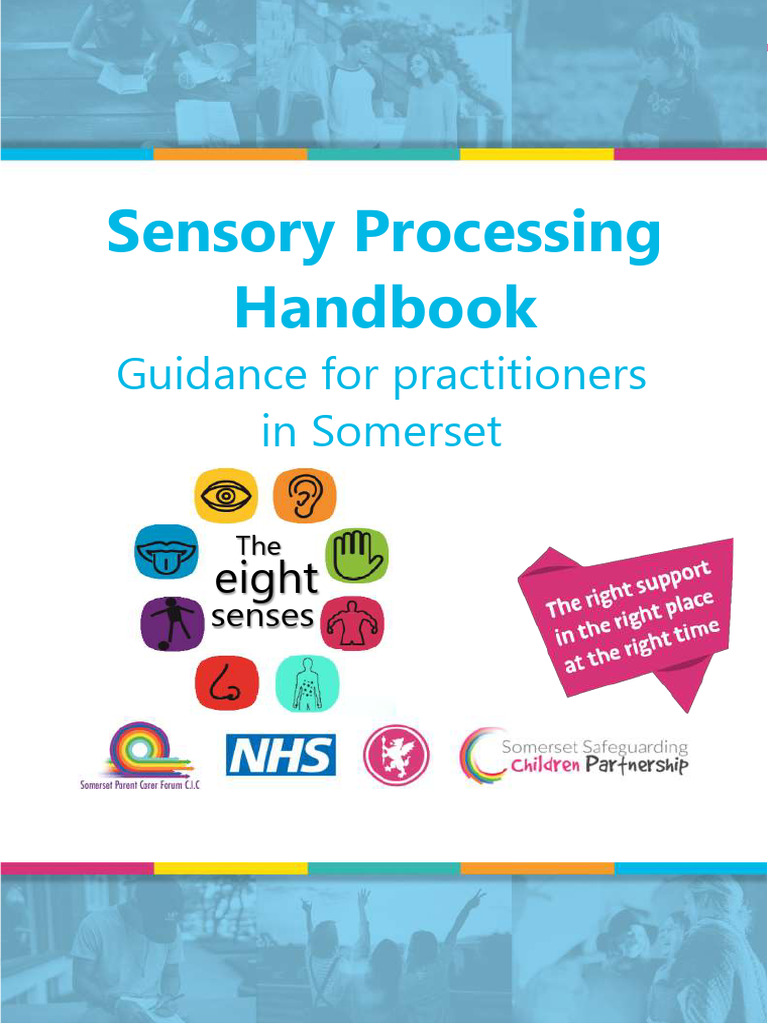 Somerset Sensory Processing Handbook | PDF | Taste | Somatosensory System