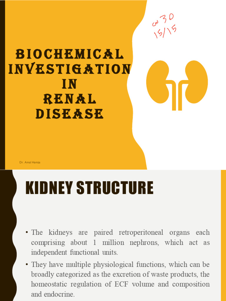 Ch.1 Renal Disease Biochemical Investigation - محدد | PDF | Creatinine ...