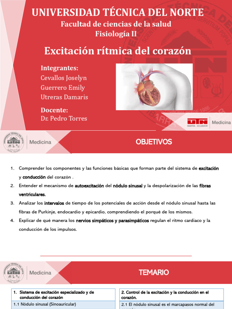 Exitación Rítmica Del Corazón | PDF | Corazón | Potencial de acción