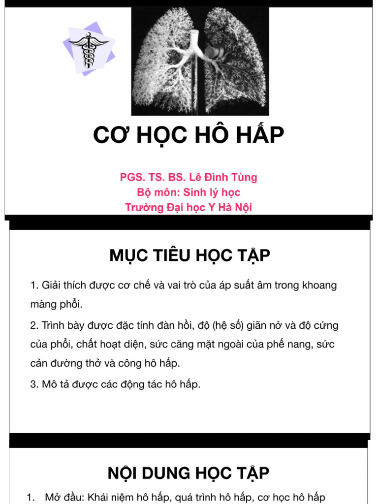 LEC2. S2.6 - Slide Lms | PDF