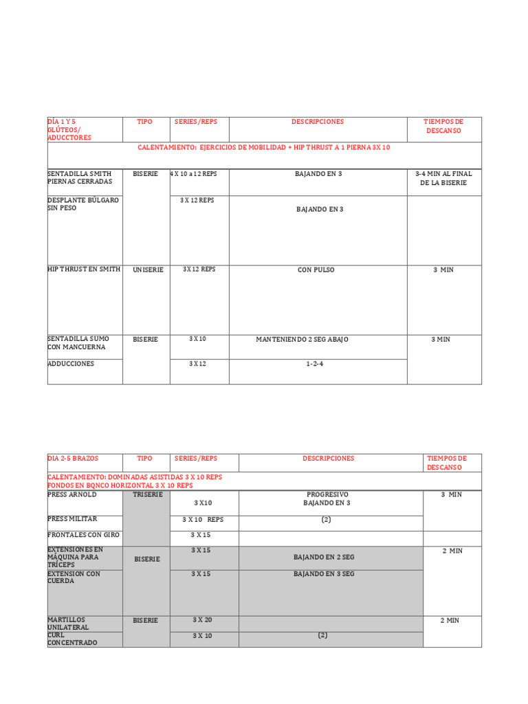 Plan de Entrenamiento Nery | PDF