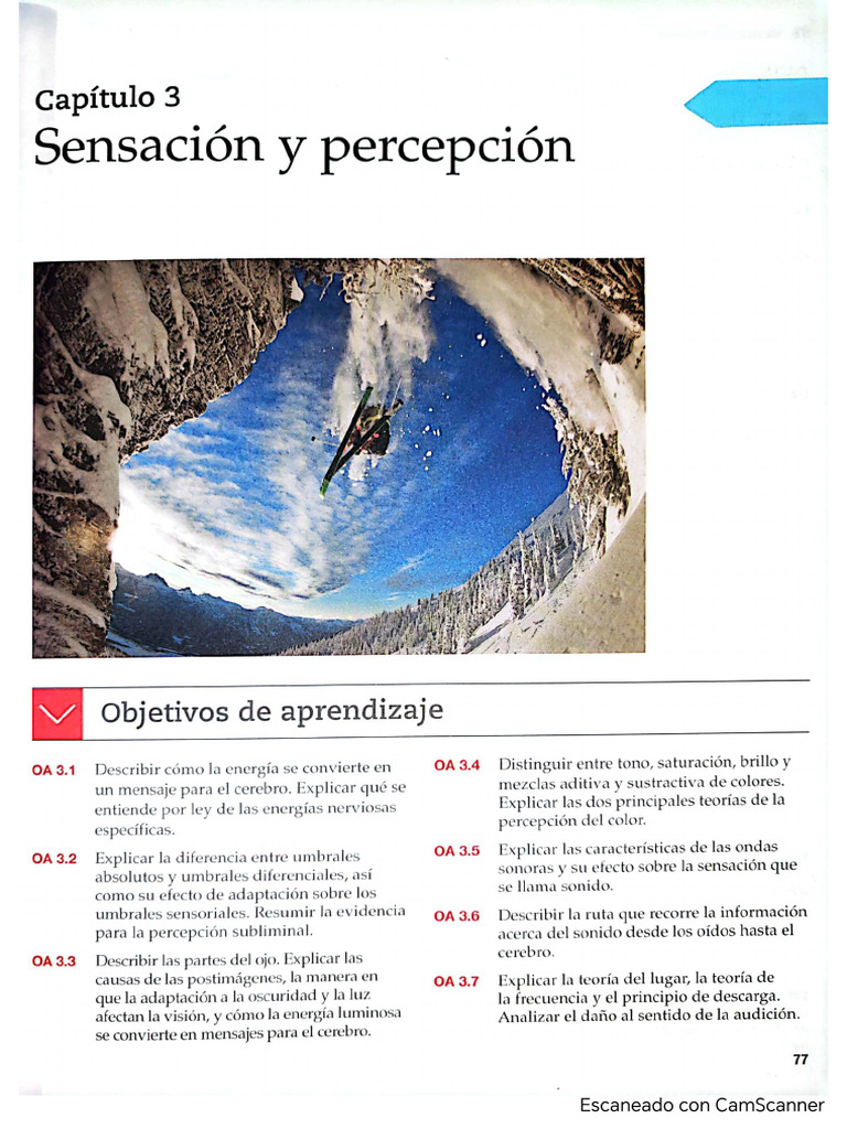 CamScanner 20-10-2024 14.53 | PDF