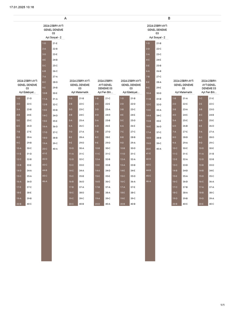 Bry-Ayt 3 Cevap Anahtari | PDF