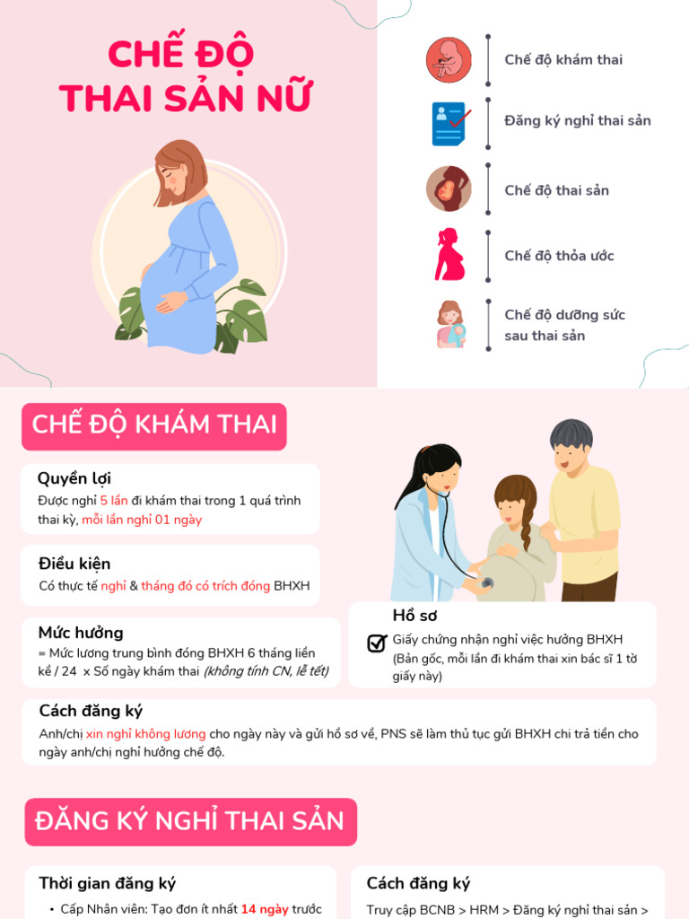 TS Nữ - Update T04.2024 | PDF