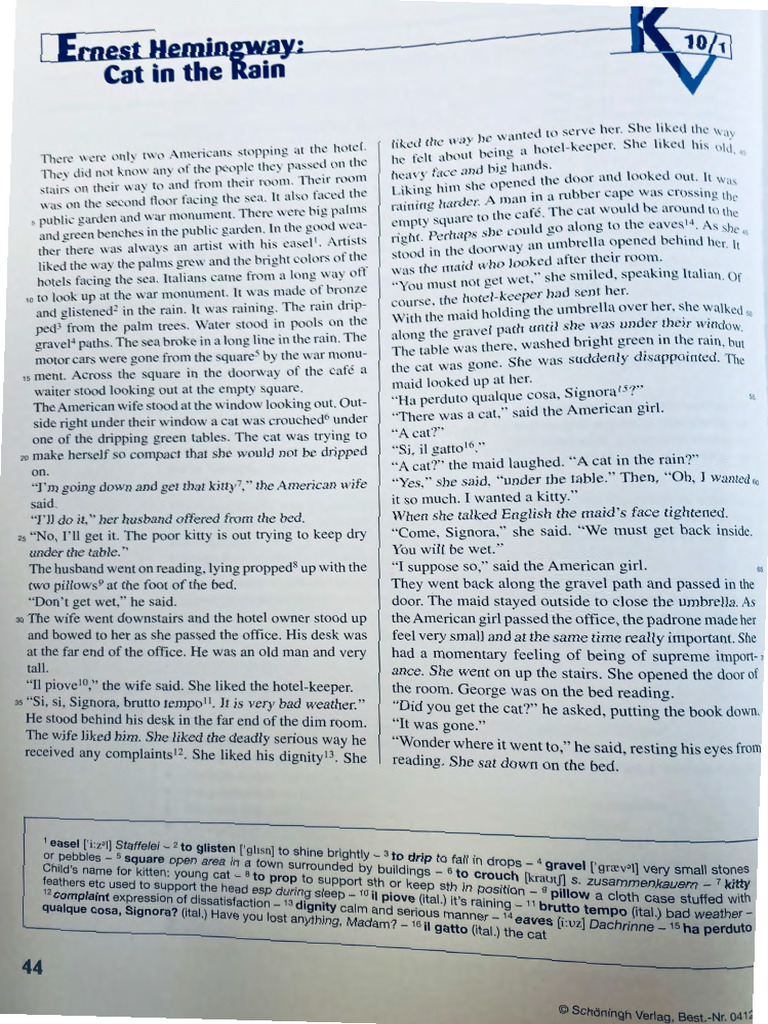 Cat_in_the_Rain | PDF