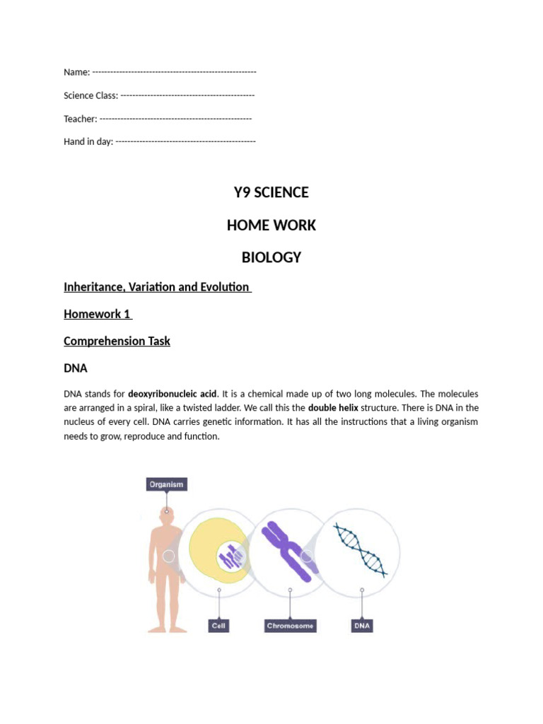 DNA Structure and Inheritance Worksheet | PDF