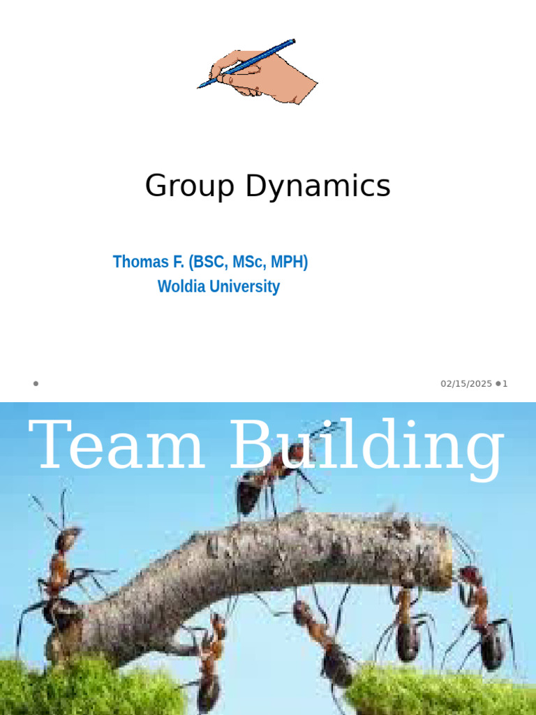 Group Dynamics & Team Work | PDF | Decision Making | Brainstorming
