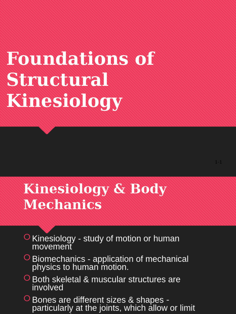 1 Introduction To Kinesiology 15032023 091639am | PDF | Anatomical ...
