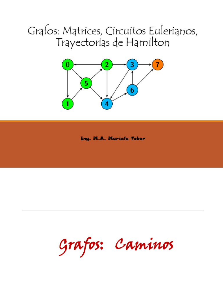 Grafos y Matrices de Euler, Hamilton | PDF | Teoría de grafos | Vértice (teoría de grafos)