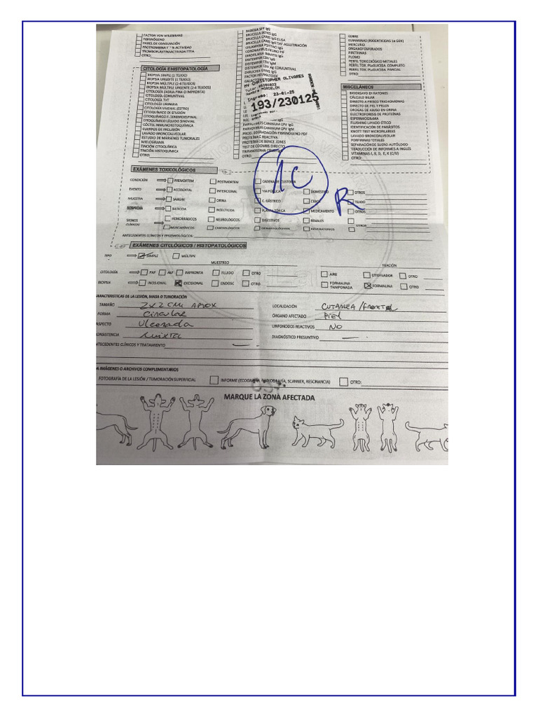 C - VetLab - PRD - NovusVet - NovusVet - Files - Archivos Complementarios Ordenes - 2025 - 1 ...