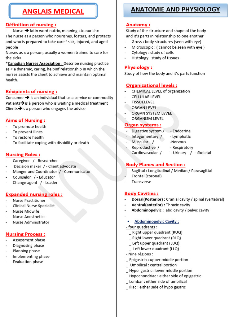 Résumé Anglais Medical 2 | PDF | Anatomical Terms Of Location | Anatomy