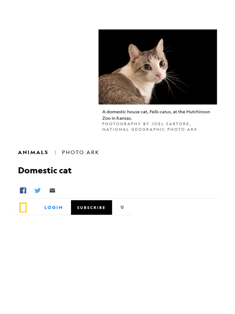 Domestic cat | PDF | Cats | Zoology