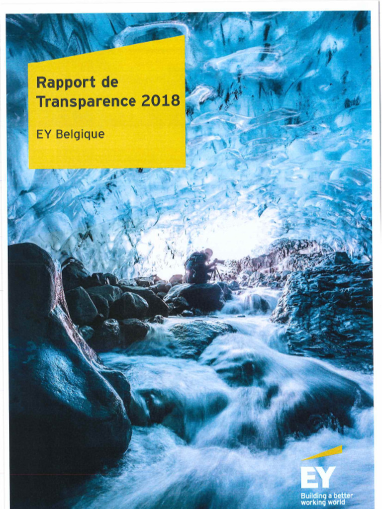 RT Ernst and Young (EY) | PDF