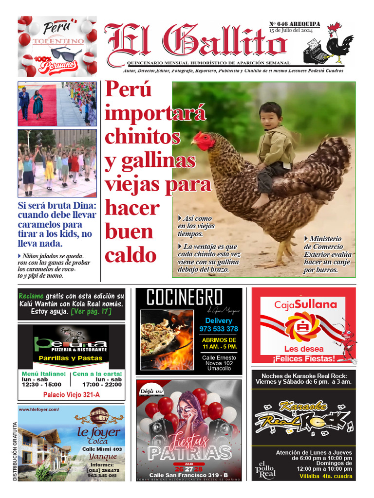 El Gallito-646 INTERNET | PDF