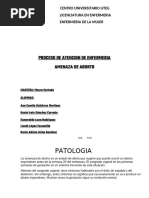 Place Diada Fetal | PDF | El embarazo | Parto