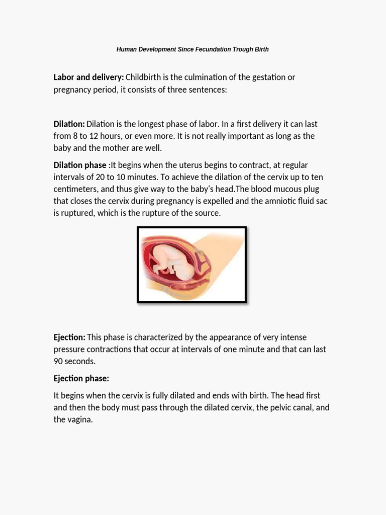 Human Development Since Fecundation Trough Birth | PDF