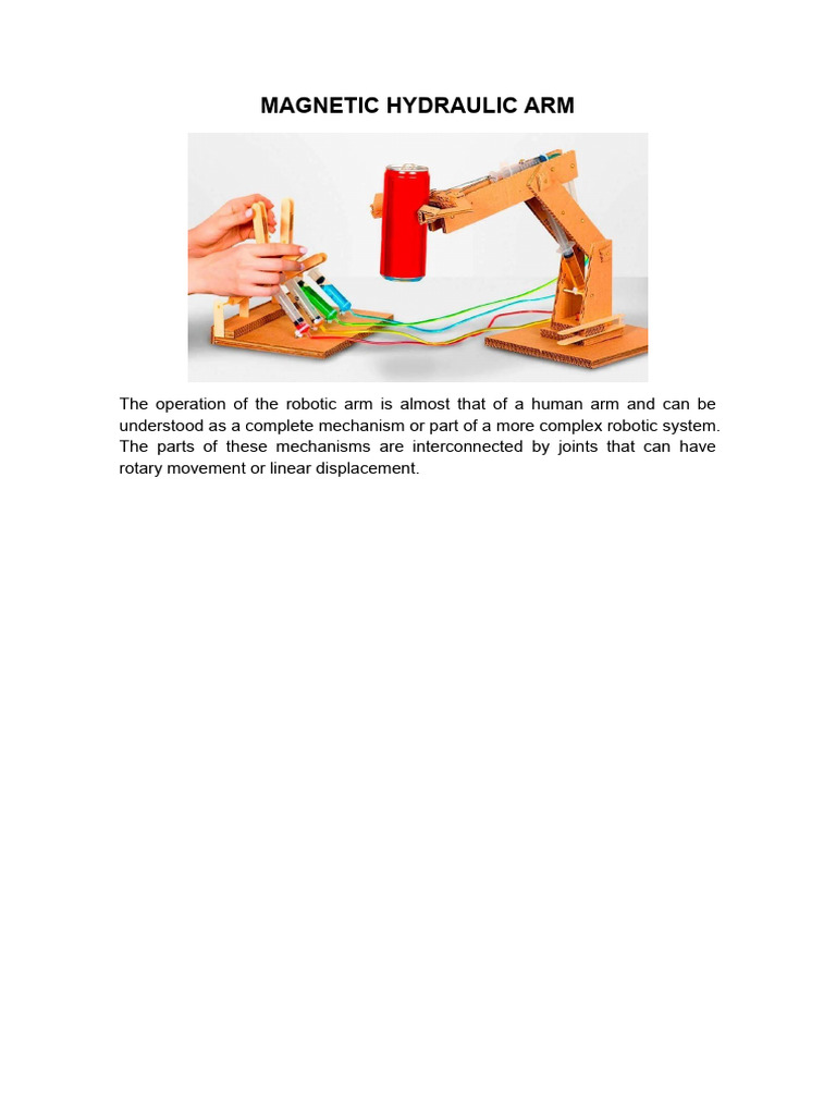 DIY Magnetic Hydraulic Arm Project | PDF
