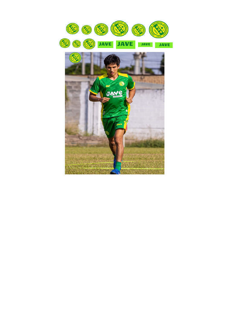 JAVE | PDF
