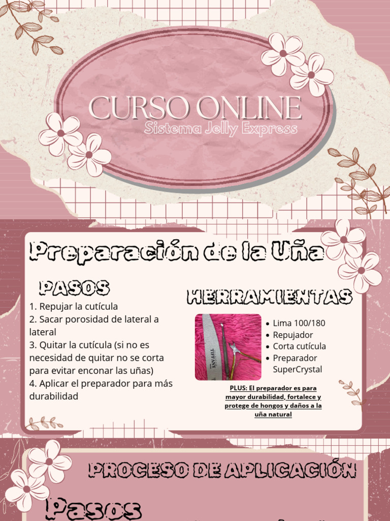 Curso de Aplicación de Jelly Tips | PDF