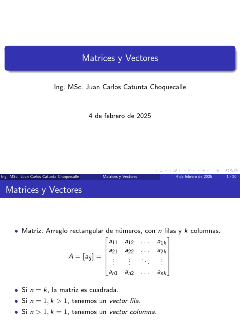 Repaso Eco1 | PDF | Matriz (Matemáticas) | Vector Euclidiano