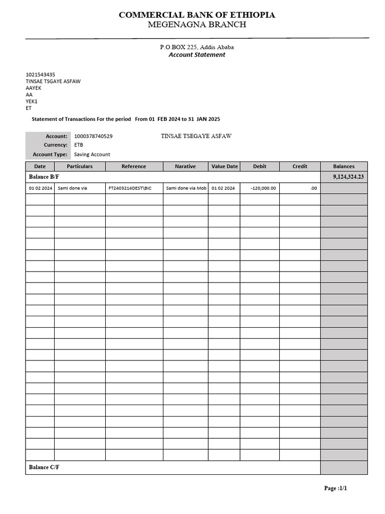 Bank Statement Format | PDF