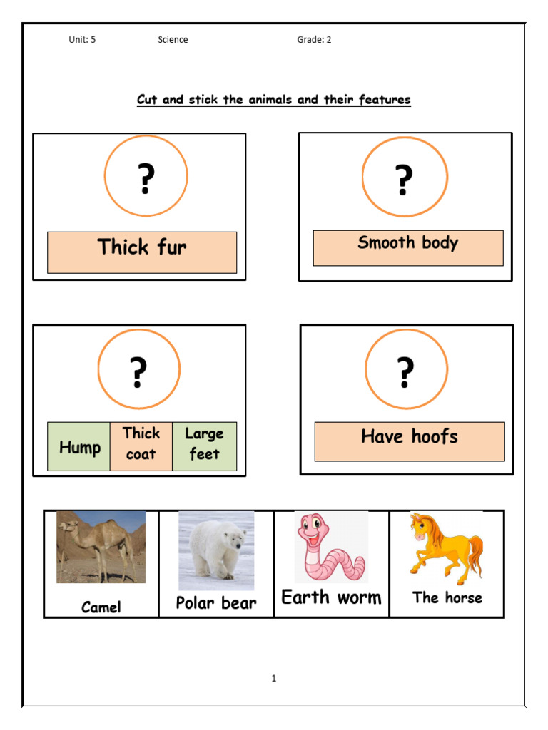 Animal Features for Grade 2 Students | PDF
