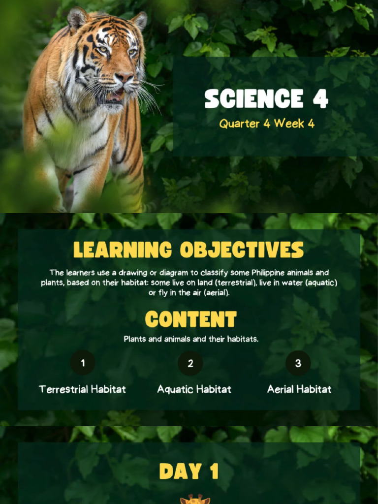 Modular - Lesson and Activityb | PDF