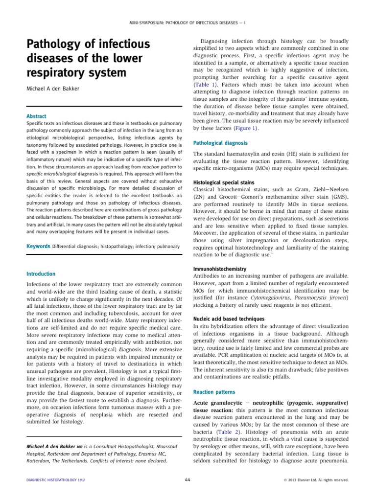 Pathology Infectious Disease Lung | PDF | Pneumonia | Infection