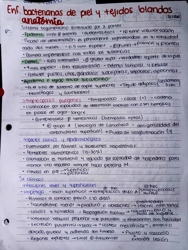 Enfermedades Bacterianas de Piel y Tejidos Blando (Anatomía ...
