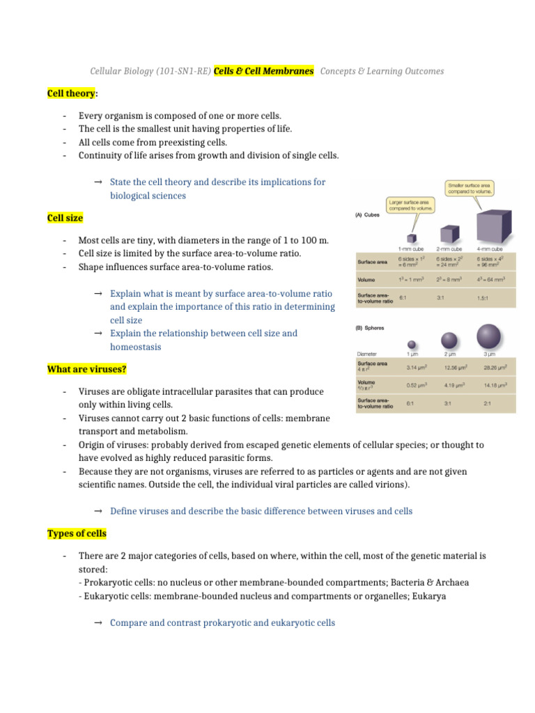 Cells Key Concepts | PDF | Cell (Biology) | Cell Membrane