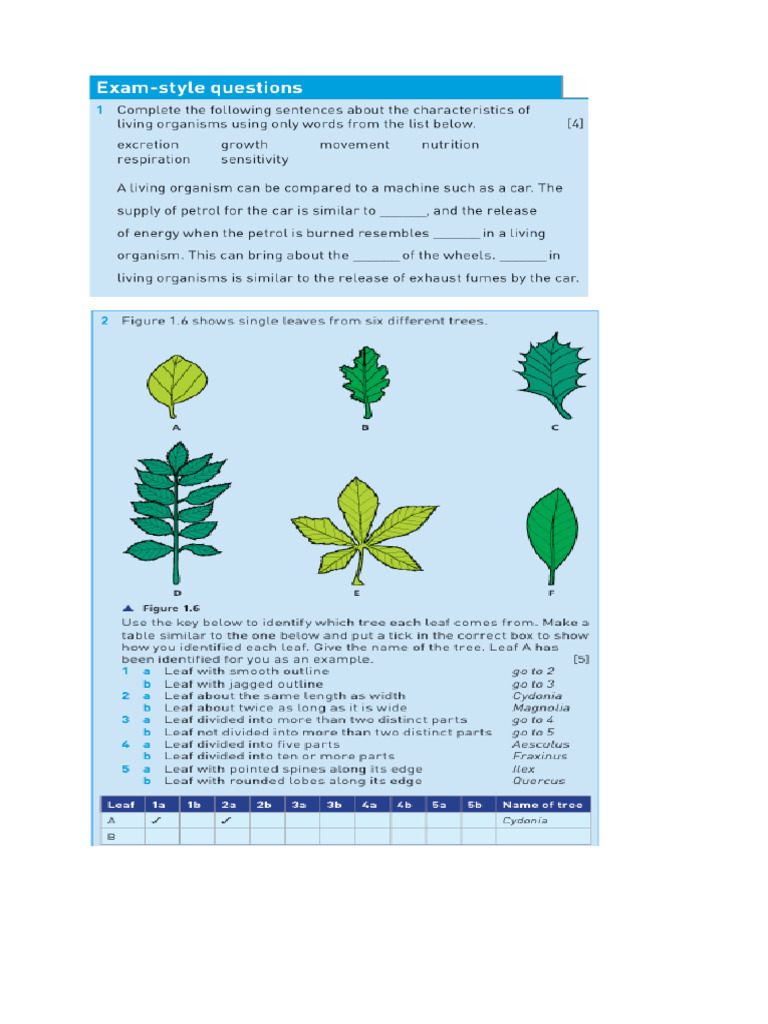 IGCSE Unit 1 Assignment 1 | PDF