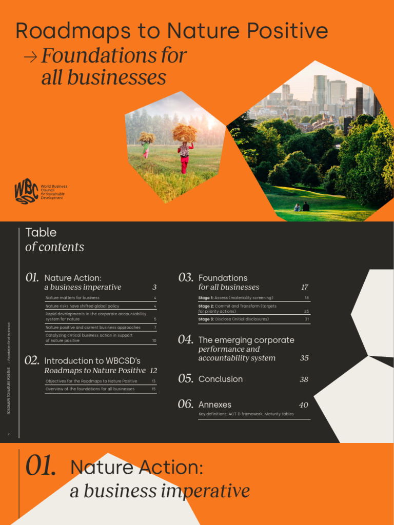 Roadmaps for Nature Positive Business | PDF | Sustainability | Biodiversity