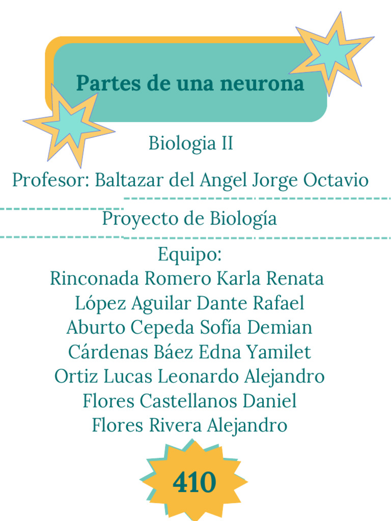 Partes y funciones de una neurona | PDF | Sinapsis | Neurona