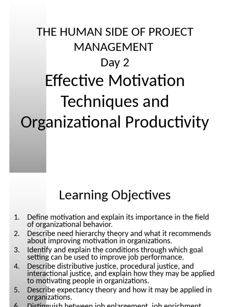 2 Advanced Issues in Project Management-HE Day 2 Motivation. | PDF ...