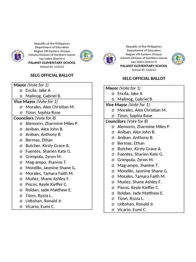 Official Ballot Selg | PDF