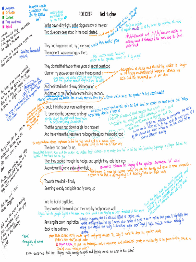 Roe Deer Annotated A4? | PDF