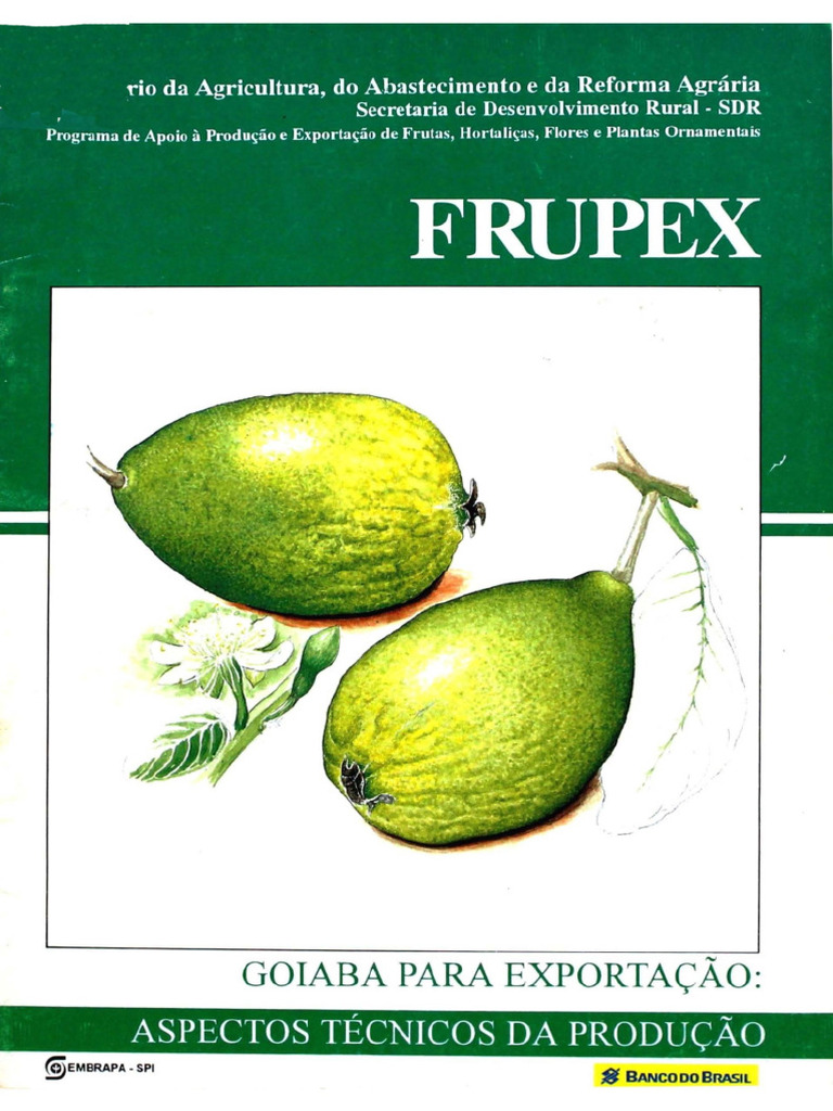 Frupex - Goiaba para Exportaã Ã o - Procedimentos de Colheita e Pã S-Colheita | PDF