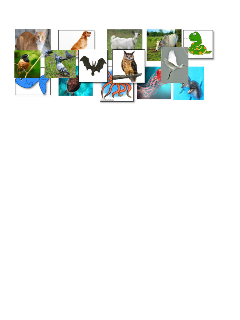Josh Animals | PDF