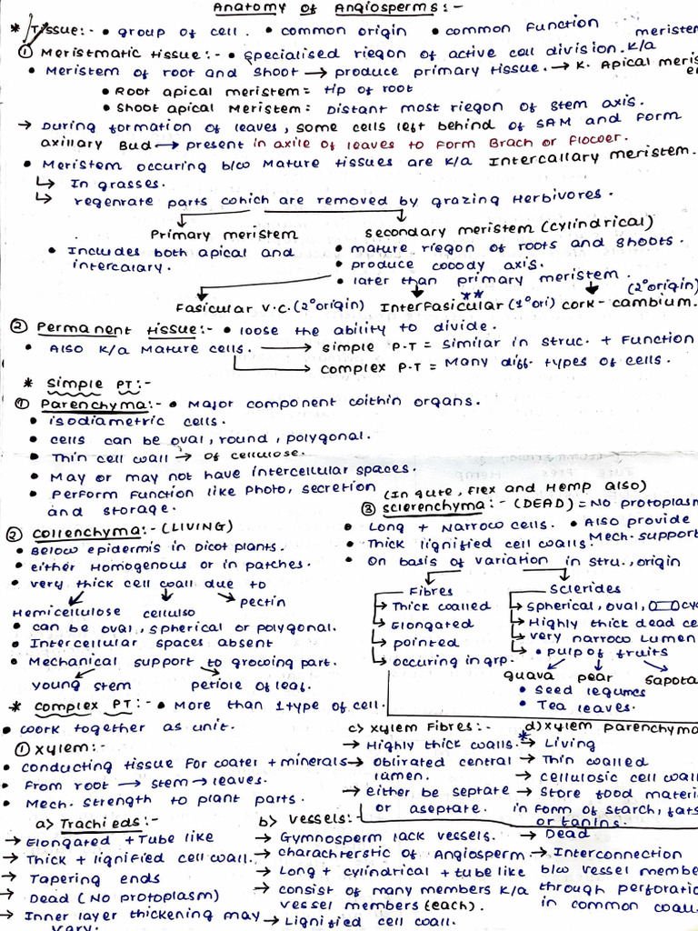 Anatomy SHORT Notes by Om Mishra | PDF