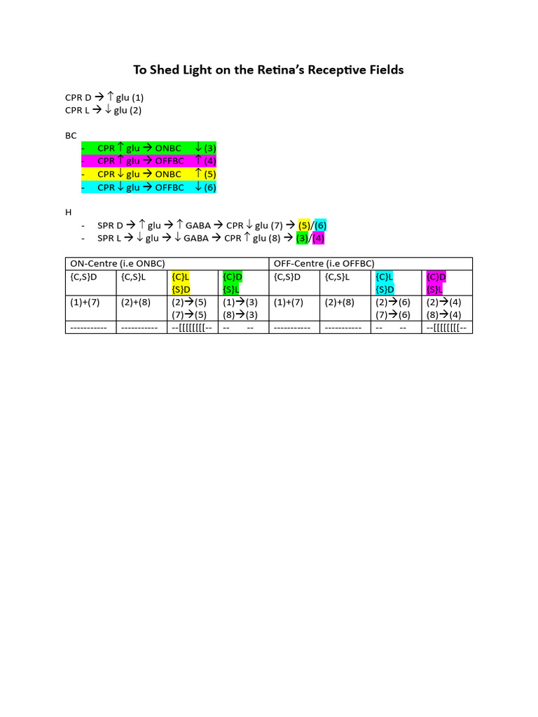 To Shed Light On The Retina's Receptive Fields | PDF