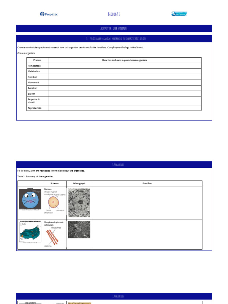 Copia de Activity 10. Cell Structure | PDF | Cell (Biology) | Organelle