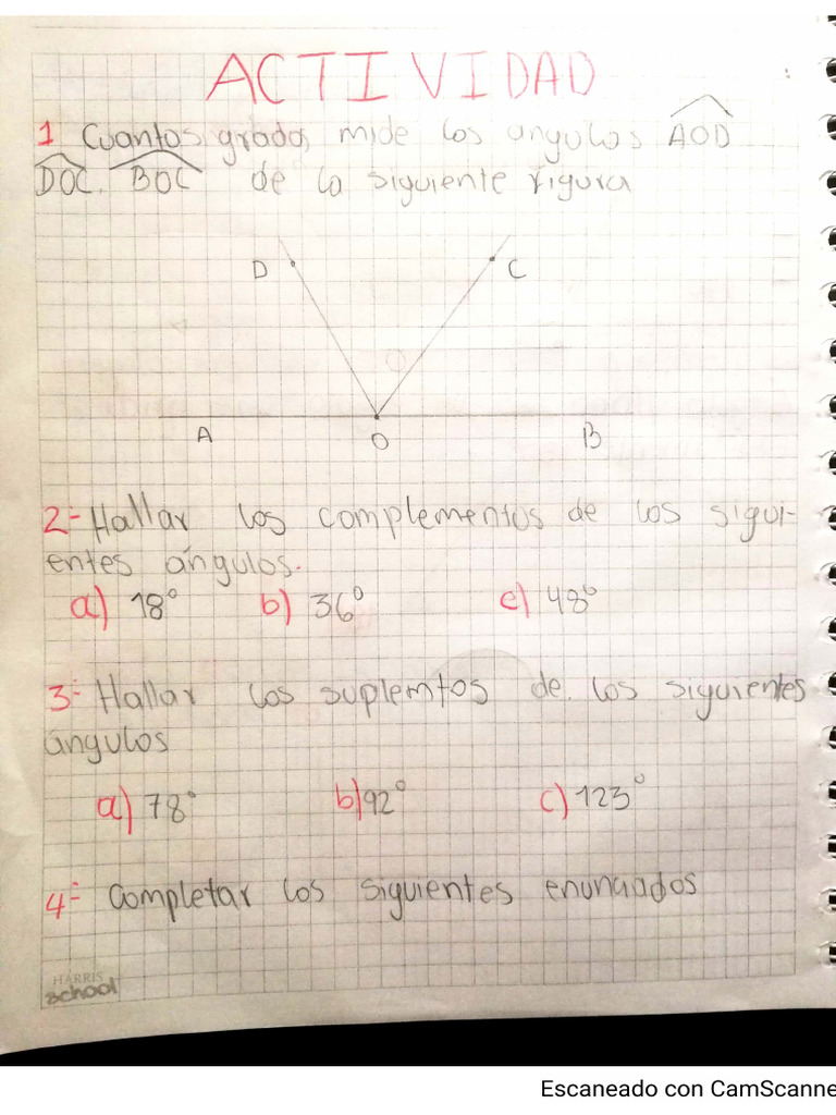 Actividad de Angulos - Sofía Angulo Mosquera 7.3 | PDF