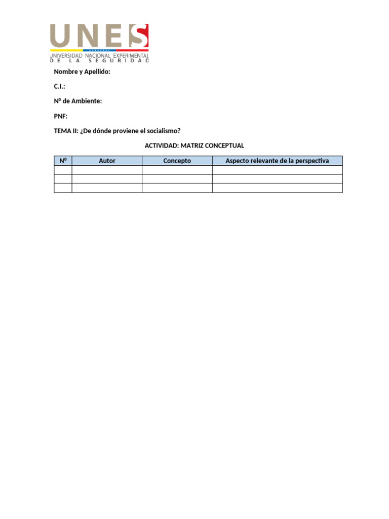Matriz Conceptual | PDF