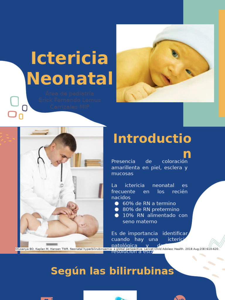 Ictericia Neonatal | PDF | Enfermedades y trastornos | Especialidades Medicas