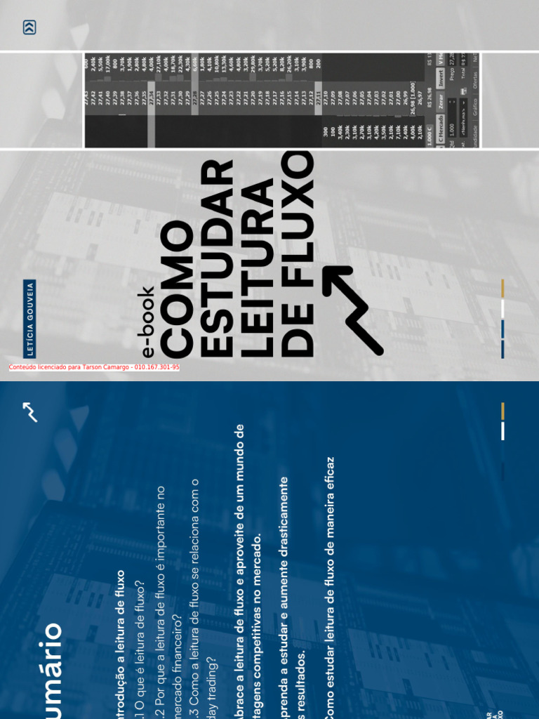 e Book Como Estudar Leitura de Fluxo | PDF | Tecnologia de papel eletrônico (e-paper) | Formatos ...