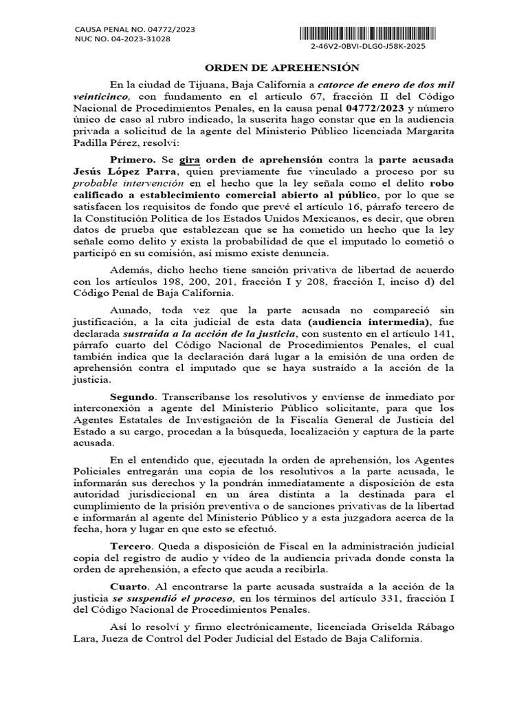 ORDEN DE APREHENSION 31028 | PDF | Justicia | Crimen y violencia