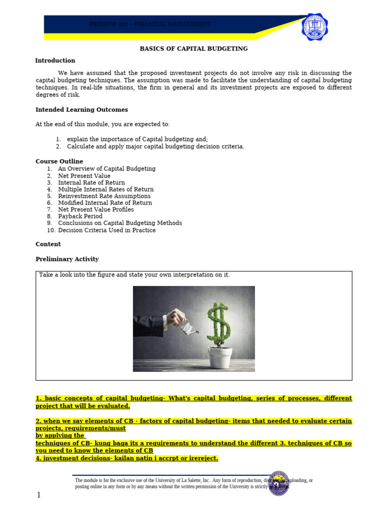 Capital Budgeting Techniques Explained | PDF | Internal Rate Of Return ...