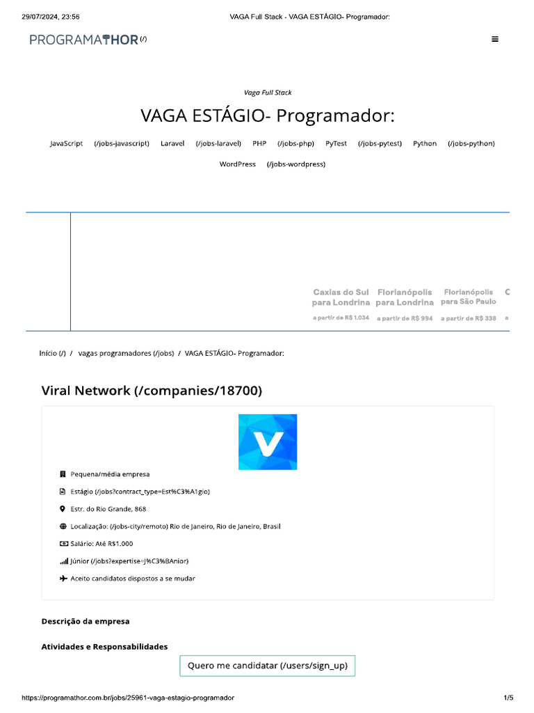 VAGA ESTÁGIO - Programador | PDF