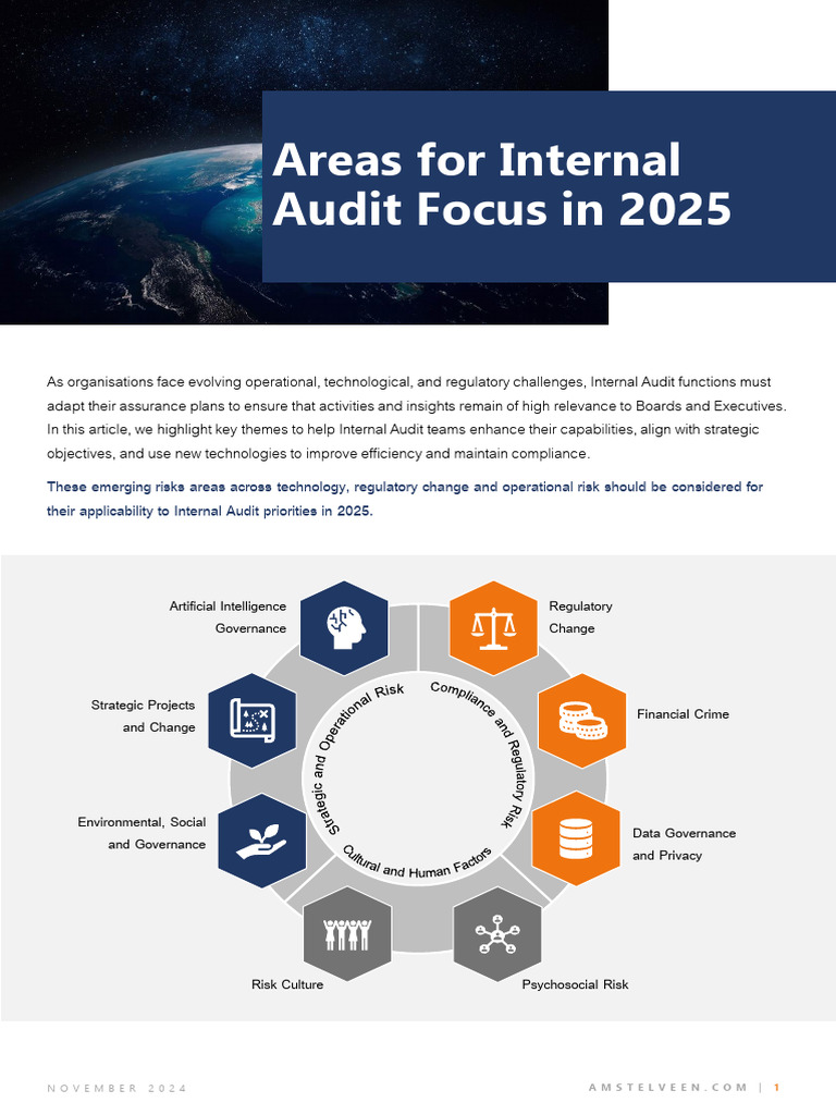 Areas For Internal Audit Focus in 2025 1734754340 | PDF | Internal ...